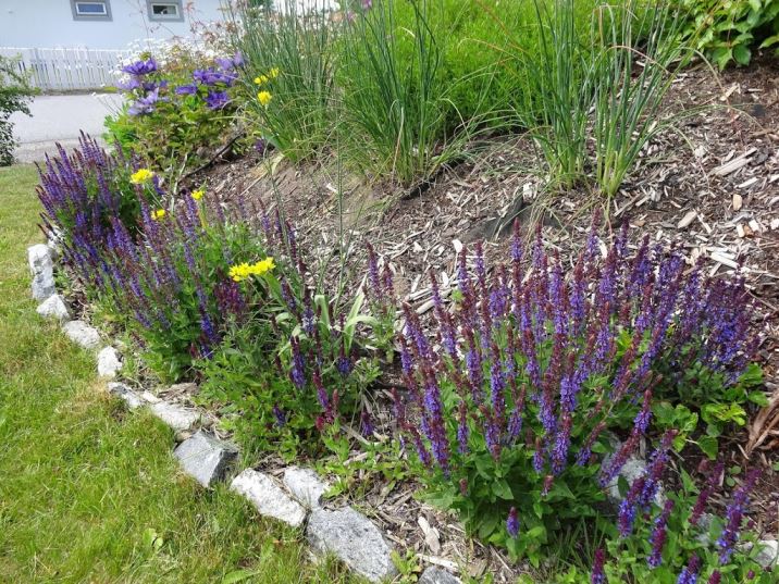 Plockmat - KarinAxelsson.se Blogg