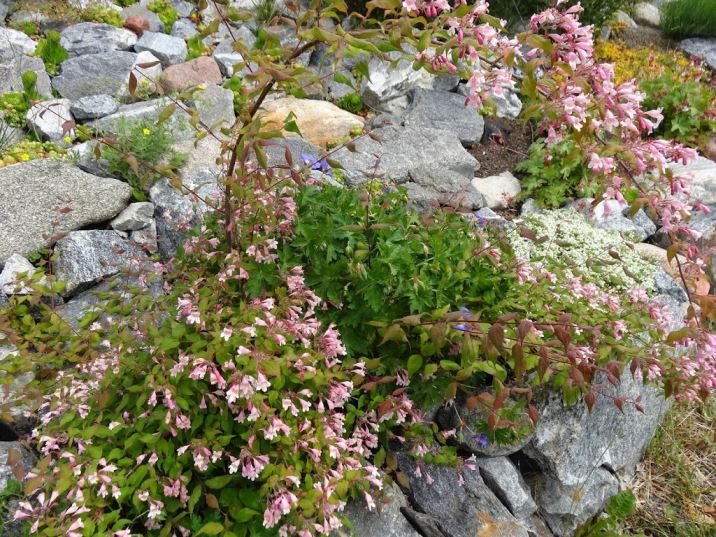 Plockmat - KarinAxelsson.se Blogg