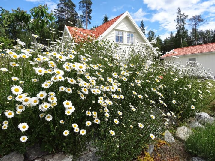 Plockmat - KarinAxelsson.se Blogg